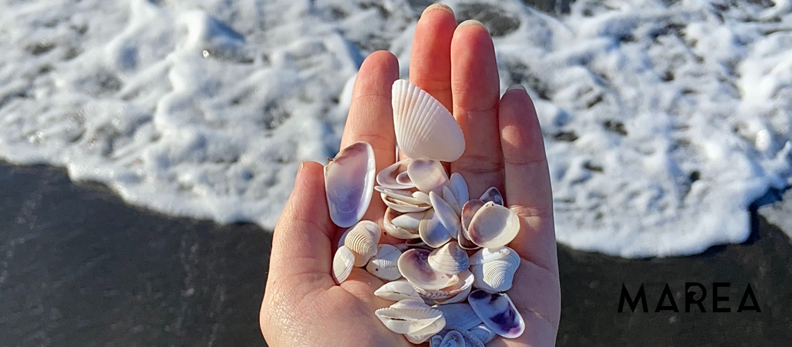 MAREA